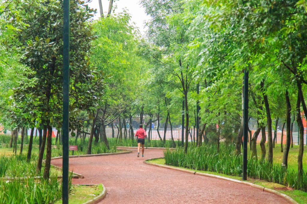 El Sope Running Track and Recreation Area in Chapultepec Park