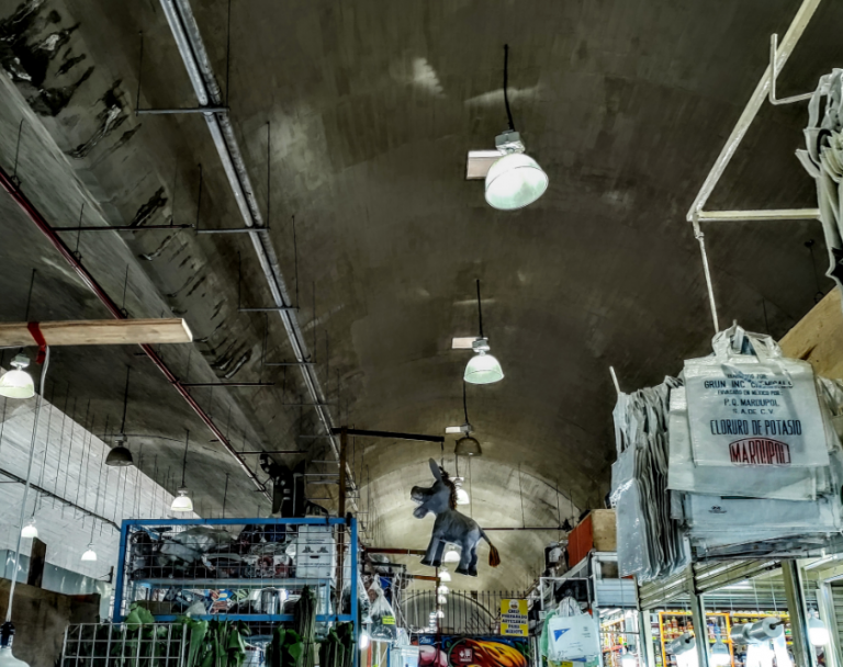 La Merced Market: Classic Mexico City and a Must-See