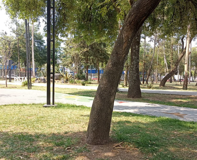 Parque Lúdico Macondo, Fuentes del Pedregal, Tlalpan | Mexico City