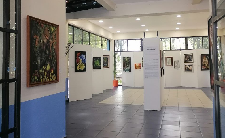 Casa de Cultura Raúl Anguiano, Huayamilpas, Coyoacán | Mexico City