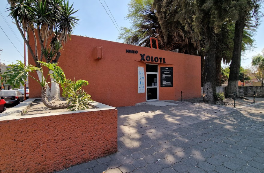Museo de Sitio Xólotl, San Bartolo Tenayuca | Mexico City